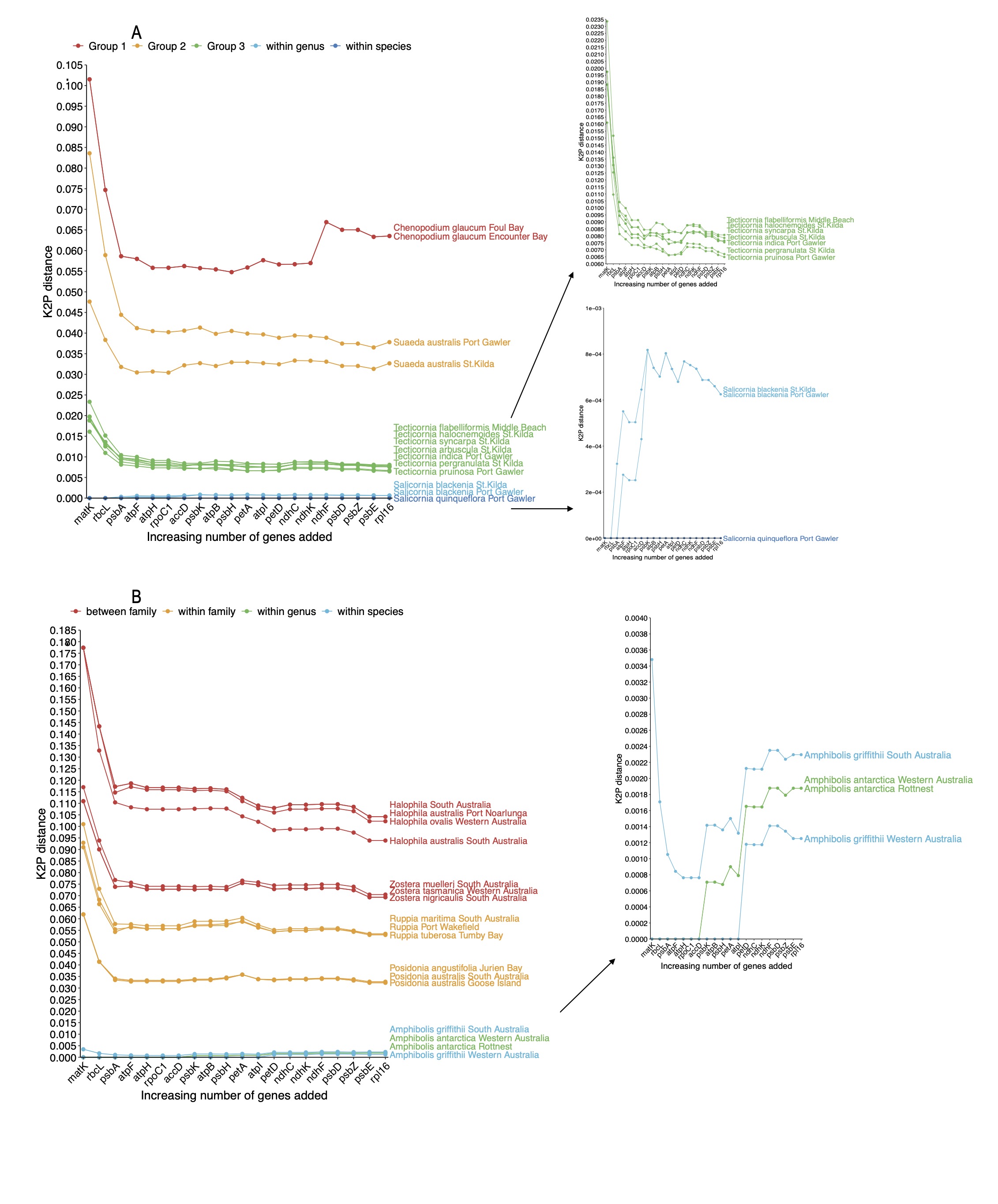 What is a plant barcode? – Into the ocean